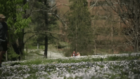 Spring Students GIF by Eastern Kentucky University - Find & Share on GIPHY