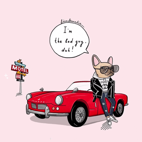 Vacation Explore GIF - Find & Share on GIPHY