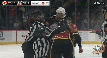 National Hockey League Fighting GIF by San Diego Gulls - Find & Share ...