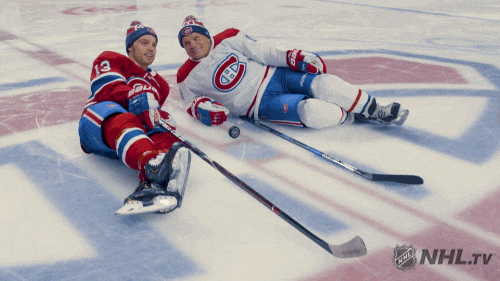 NHL GIF - Find & Share on GIPHY