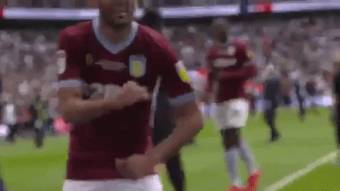 Aston Villa FC GIF - Find & Share on GIPHY
