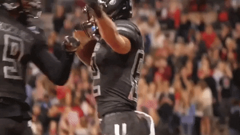 Red Wolves Astate GIF by Arkansas State Athletics - Find & Share on GIPHY