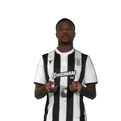 Football Paokfamily Sticker by PAOK FC for iOS & Android | GIPHY