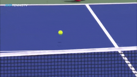 Sport Smash GIF by Tennis TV - Find & Share on GIPHY