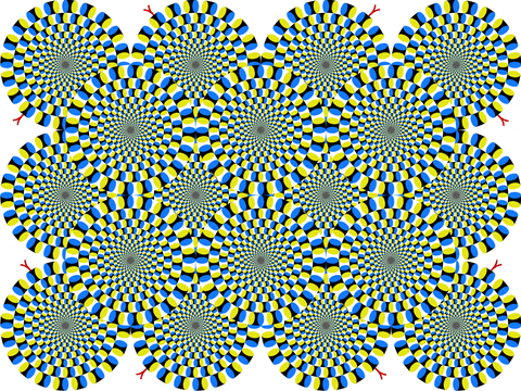 Rotating GIF - Find & Share on GIPHY