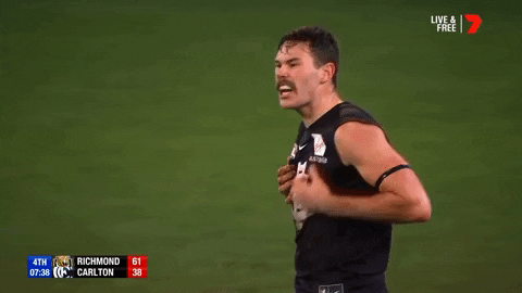 Aussie Rules GIF by AFL - Find & Share on GIPHY