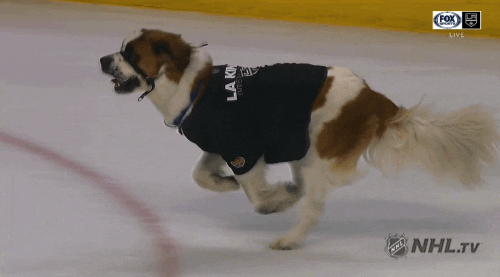 Ice Hockey Running GIF by NHL - Find & Share on GIPHY