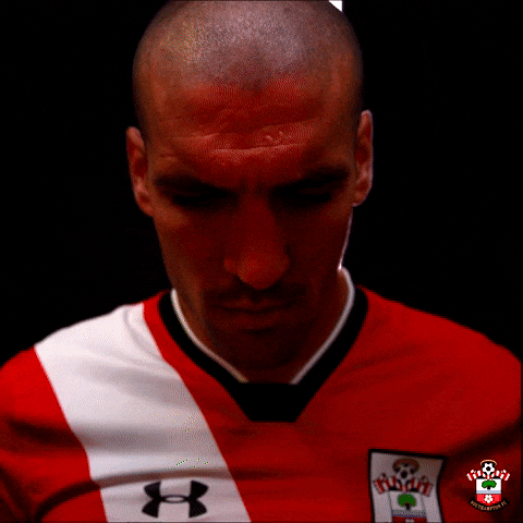Premier League Football GIF by Southampton FC - Find & Share on GIPHY