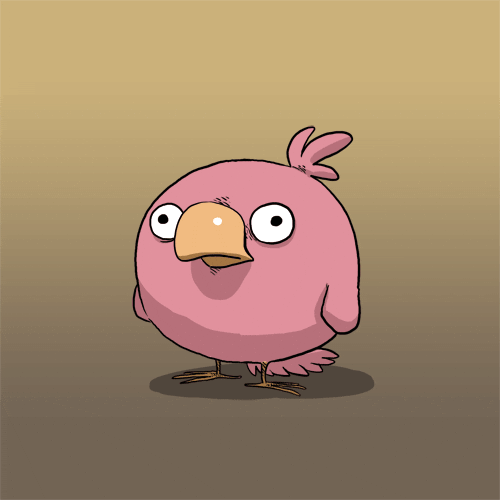 Bird Coco GIF - Find & Share on GIPHY