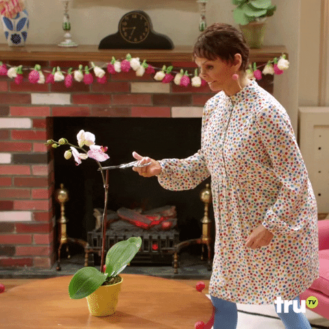 Amy Sedaris Patty Hogg GIF by truTV’s At Home with Amy Sedaris - Find ...