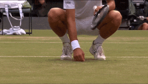 All England Tennis Club Djokovic GIF by Wimbledon - Find & Share on GIPHY