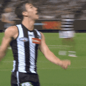 Celebration Afl GIF by CollingwoodFC - Find & Share on GIPHY