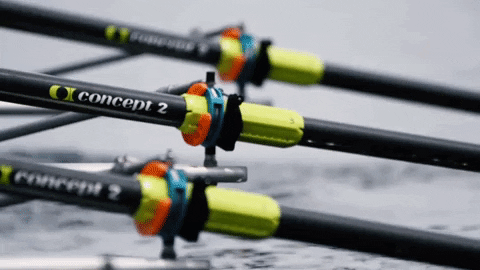 Sport Olympics GIF by USRowing - Find & Share on GIPHY