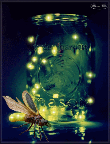 Firefly GIF - Find & Share on GIPHY