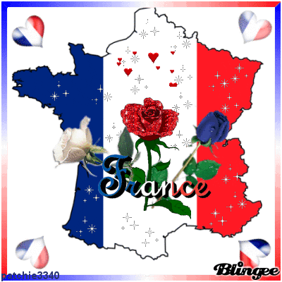 France GIFs - Find & Share on GIPHY