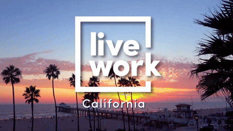 Live + Work, California – Career Design Studio | University at Buffalo