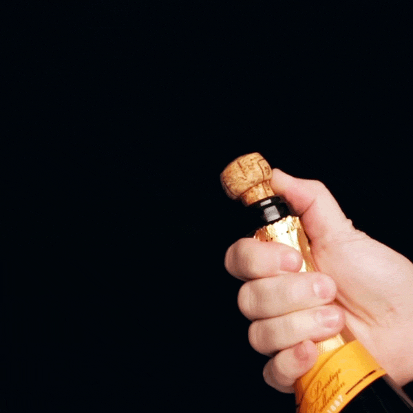 Champagne Gif Champagne Gif