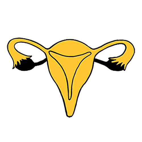 #OvaryAct GIFs - Find & Share on GIPHY