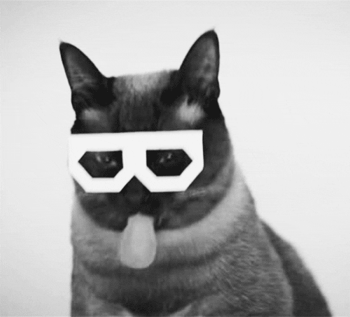 Cat Dubstep GIF by hoppip - Find & Share on GIPHY