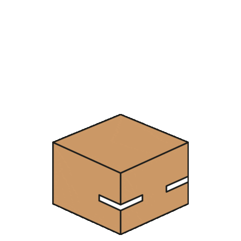 Surprise Box Sticker by Negozi Pellizzari for iOS & Android | GIPHY