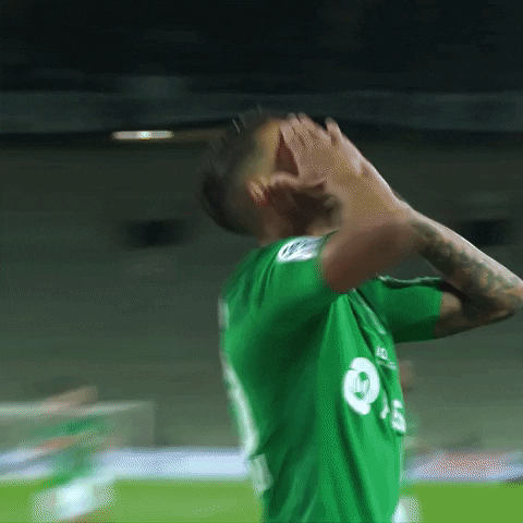 Ligue 1 Rage GIF by AS Saint-Étienne - Find & Share on GIPHY