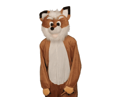 Rollins Gifs Fox Day Sticker by Rollins College for iOS & Android | GIPHY