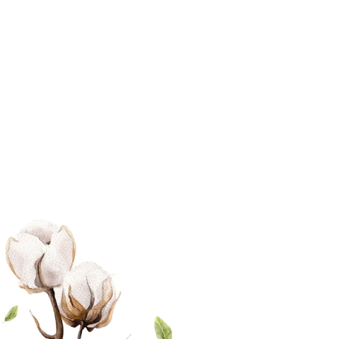 Cotton Gots GIF by kitikatetr - Find & Share on GIPHY