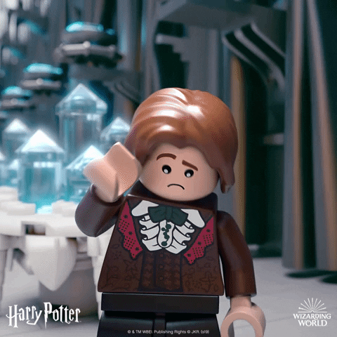 Wizardingworld GIF by LEGO - Find & Share on GIPHY