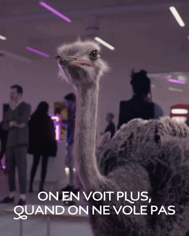 London Travel GIF by Eurostar - Find & Share on GIPHY