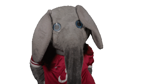 Big Al Sticker by The University of Alabama for iOS & Android | GIPHY
