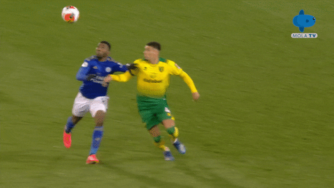 Celebration Reaction GIF by MolaTV - Find & Share on GIPHY