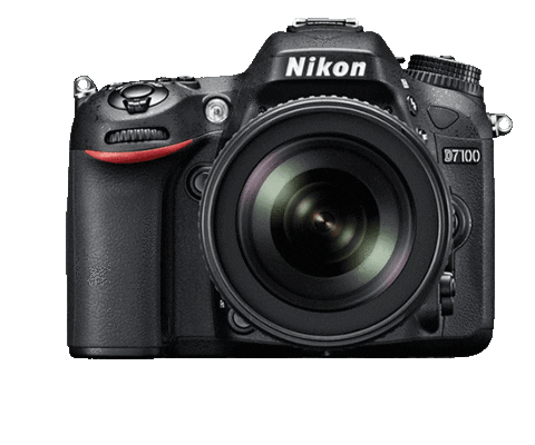 Nikon Nikoninstabadge Sticker by NikonIndia for iOS & Android | GIPHY