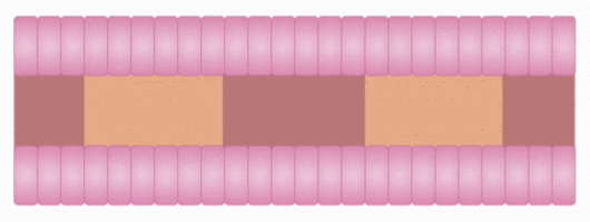 Segmentation GIFs - Get the best GIF on GIPHY