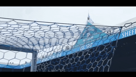 Owls S6 GIF by Sheffield Wednesday Football Club - Find & Share on GIPHY