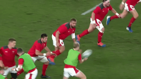 World Rugby Sport GIF by Rugby World Cup - Find & Share on GIPHY