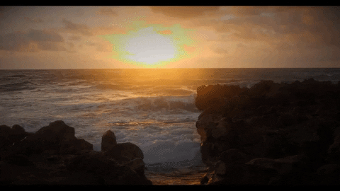 Real Estate Sunshine GIF by Echo Fine Properties - Find & Share on GIPHY