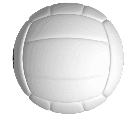 Netball World Cup Ball Sticker by SPORTRELIEF for iOS & Android | GIPHY