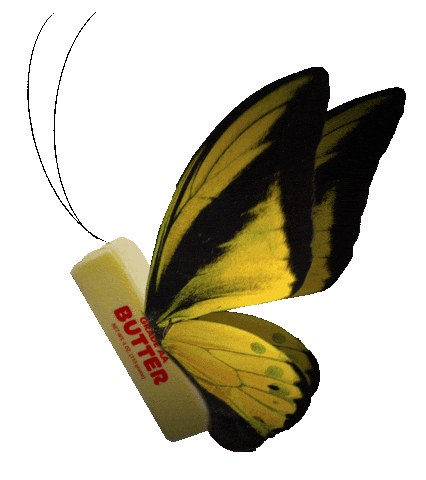 Andy Samberg Butterfly Sticker by The Lonely Island for iOS & Android ...