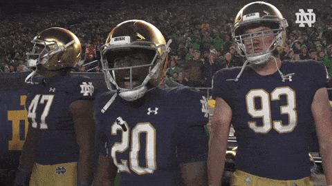 Notre Dame Football Nd GIF by Notre Dame Fighting Irish - Find & Share ...