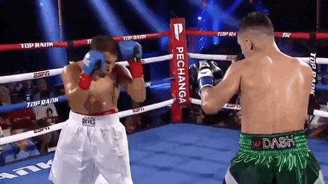 Top Rank Boxing GIF - Find & Share on GIPHY