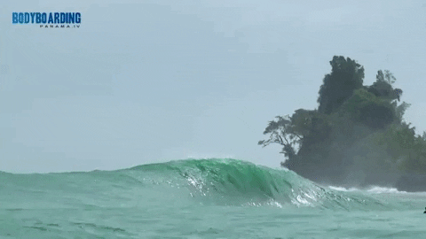 Bodyboarding Panama GIF - Find & Share on GIPHY