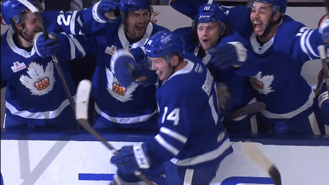 Celebration Hockey GIF by Toronto Marlies - Find & Share on GIPHY