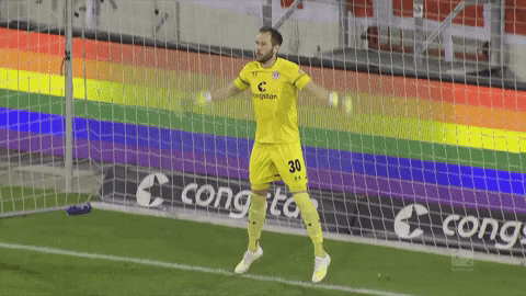 Sankt Pauli Goalkeeper GIF by FC St. Pauli - Find & Share on GIPHY