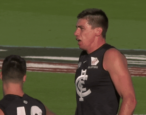 Carlton Blues Celebration GIF by Carlton Football Club - Find & Share ...