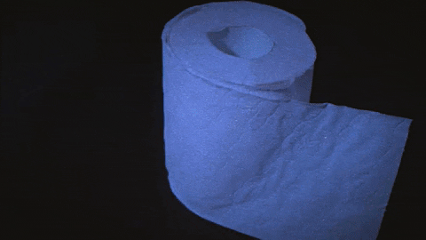 Toilet Paper Catch GIF - Find & Share on GIPHY