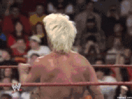 Ric Flair GIF - Find & Share on GIPHY