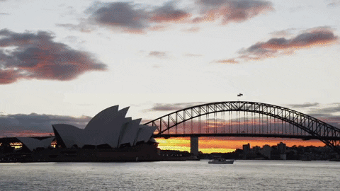 Opera House City GIF by Football Australia - Find & Share on GIPHY