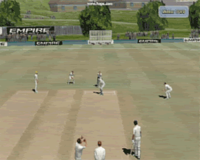 Cricket GIF - Find & Share on GIPHY