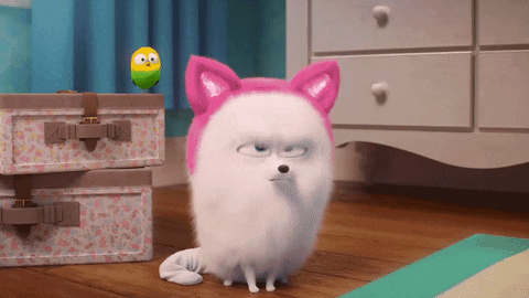 Cat Lol GIF by The Secret Life Of Pets - Find & Share on GIPHY