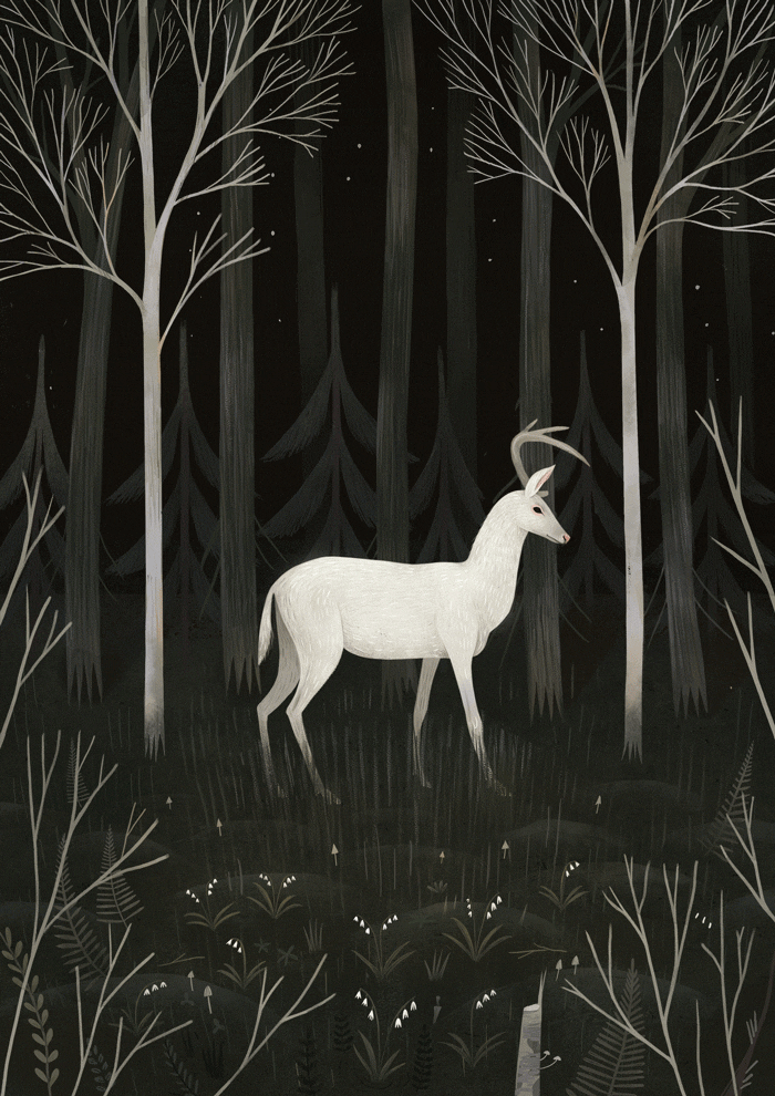 Albino Deer Trees GIF by Alexandra Dvornikova - Find & Share on GIPHY